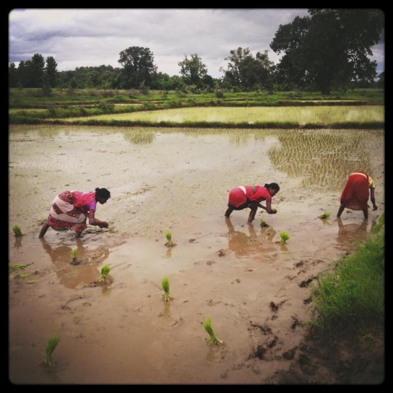 India: A Lo-Fi Photo Tour – The Wine Ninjas