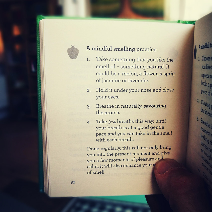 Mindful Wine Tasting: How Meditation Can Help Your Sense Of Smell – The ...